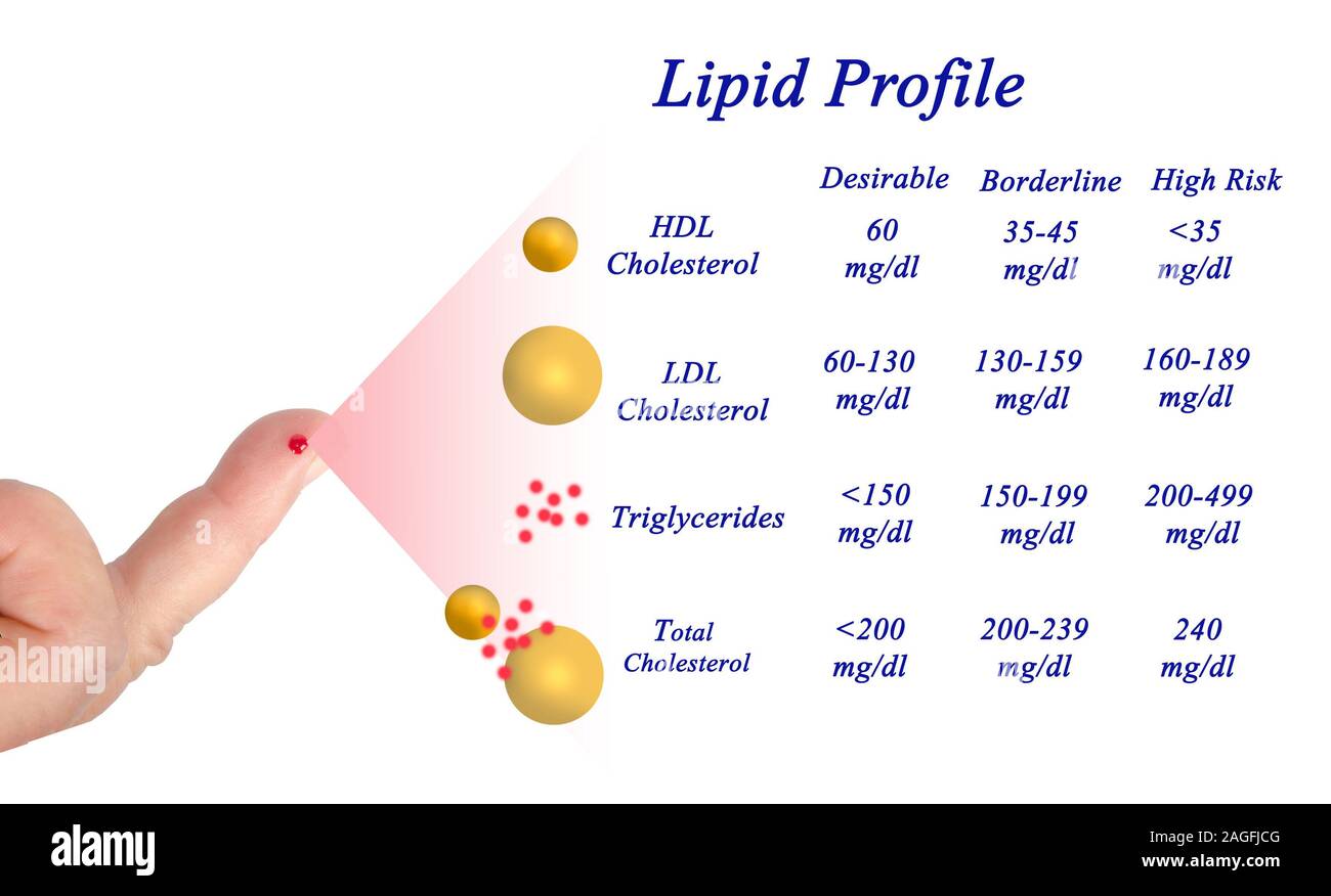 Lipid profile hi-res stock photography and images - Alamy