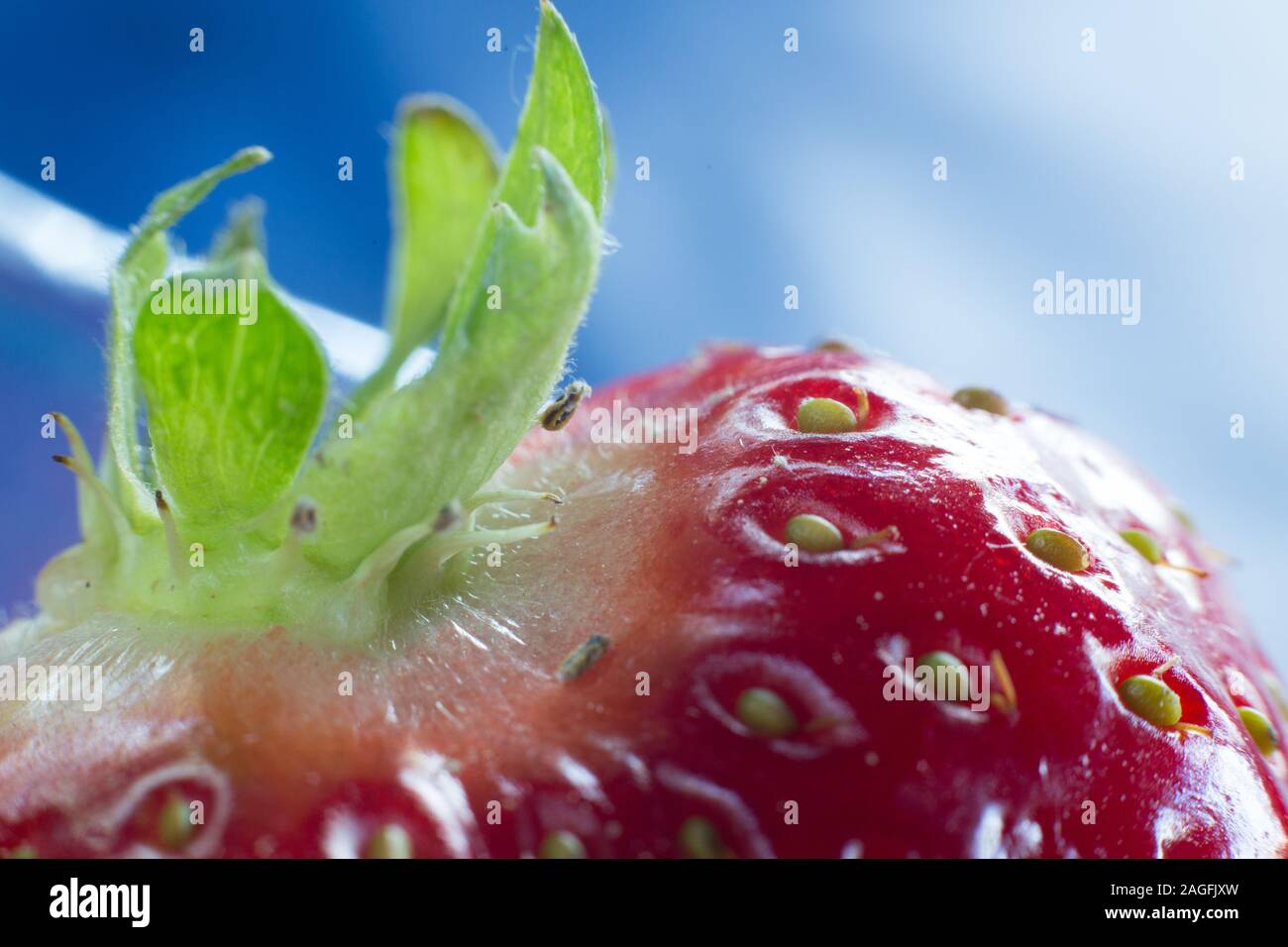 Strawberries. Strawberry close-ups Stock Photo - Alamy