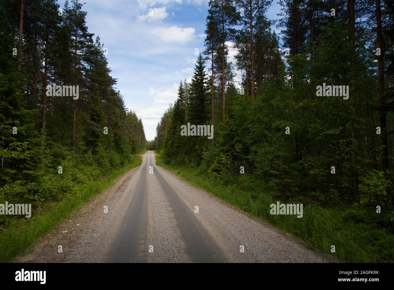 Forest surroundings hi-res stock photography and images - Alamy