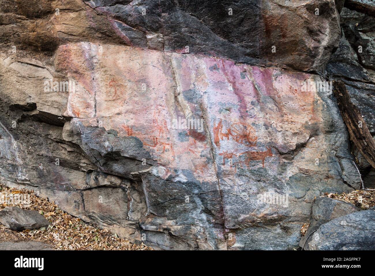 Tsodilo hills, rock paintings of animals, Louvre of desert, isolated ...