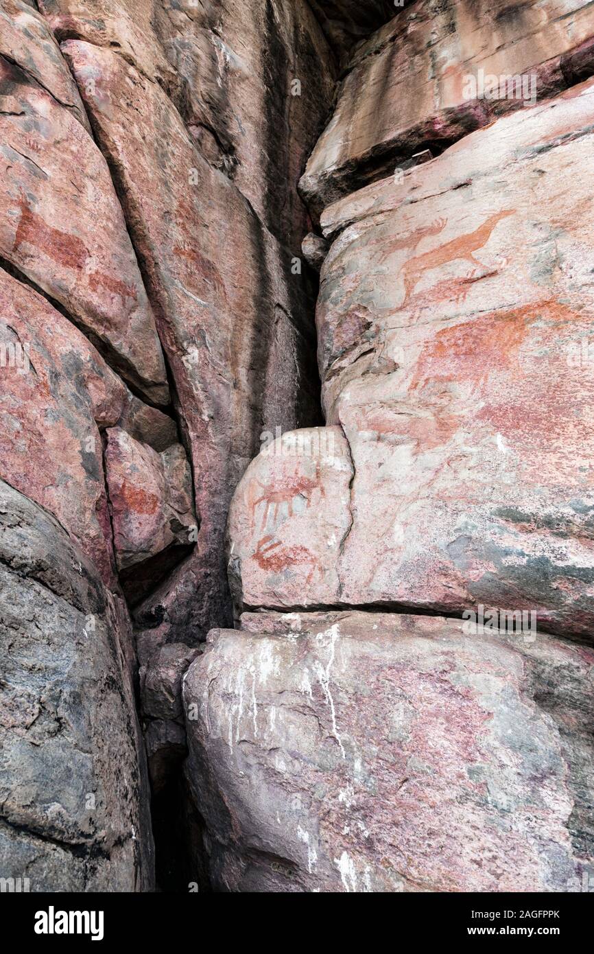 Tsodilo hills, rock paintings of animals, Louvre of desert, isolated ...