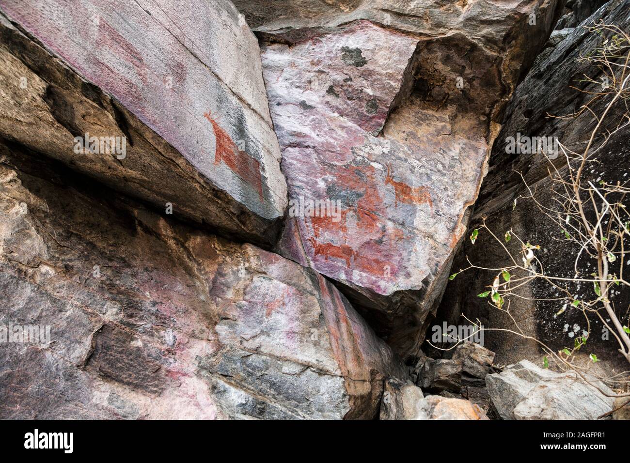Tsodilo hills, rock paintings of animals, Louvre of desert, isolated ...