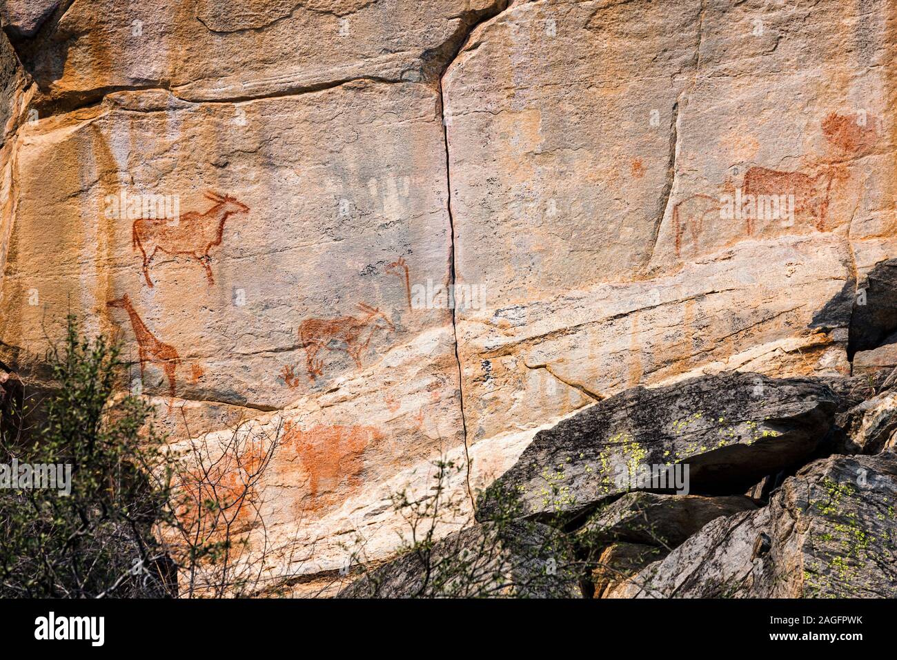 Tsodilo hills, rock paintings of animals, Louvre of desert, isolated ...