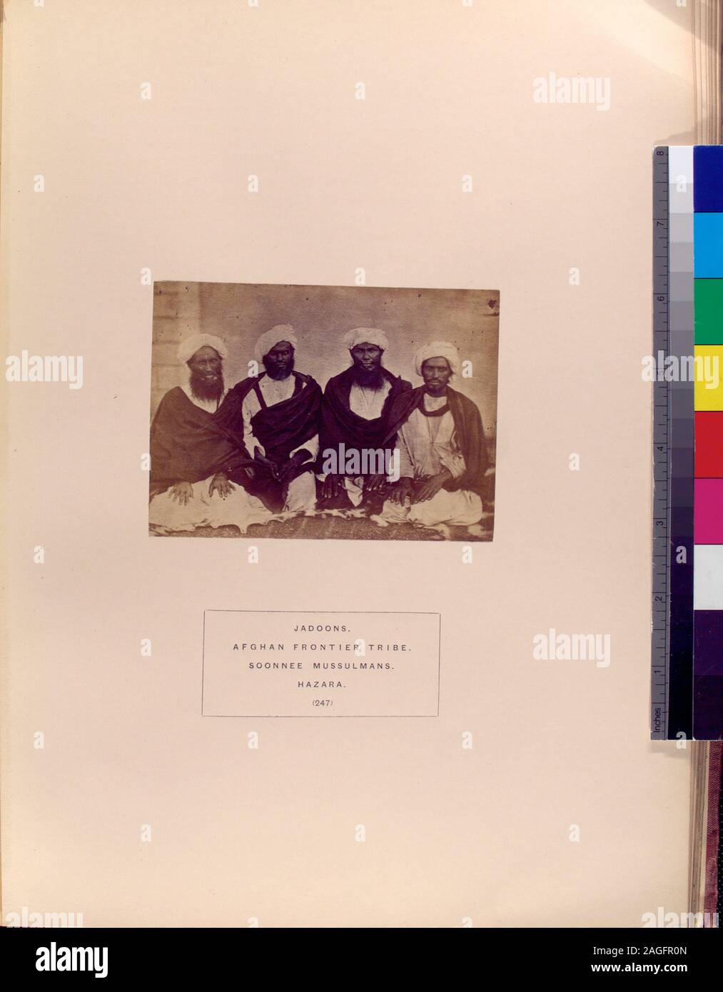 Caption box printed on mount measures 36 x 79 mm.; Jadoons, Afghan ...