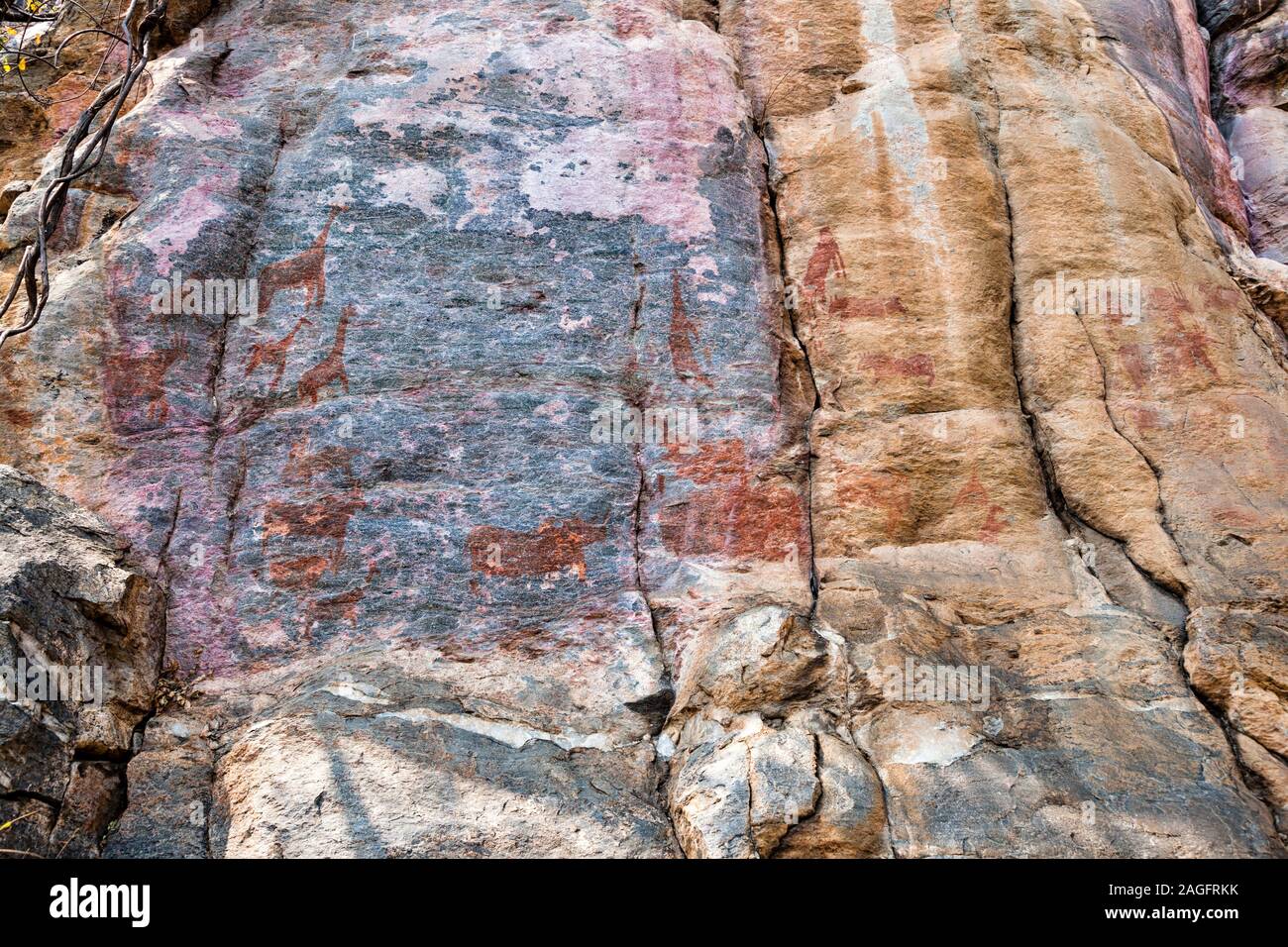 Kalahari Bushman Art High Resolution Stock Photography and Images - Alamy