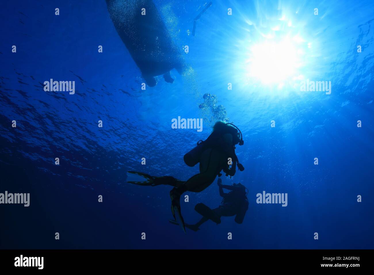 Scuba diving safety stop hi-res stock photography and images - Alamy