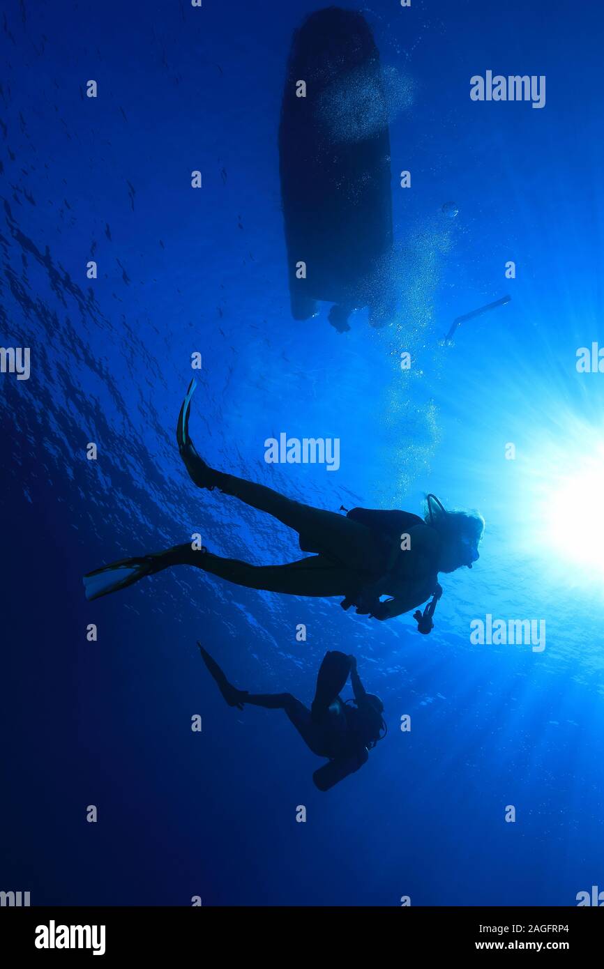 Scuba divers on safety stop with bouy underwater in the Ocean Stock ...