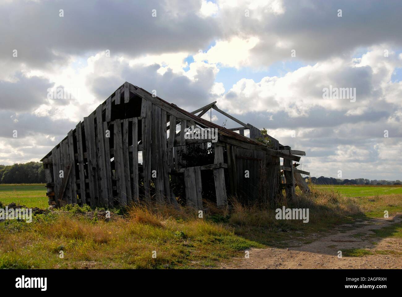 Derelict barn in field, Norfolk, England Stock Photo - Alamy