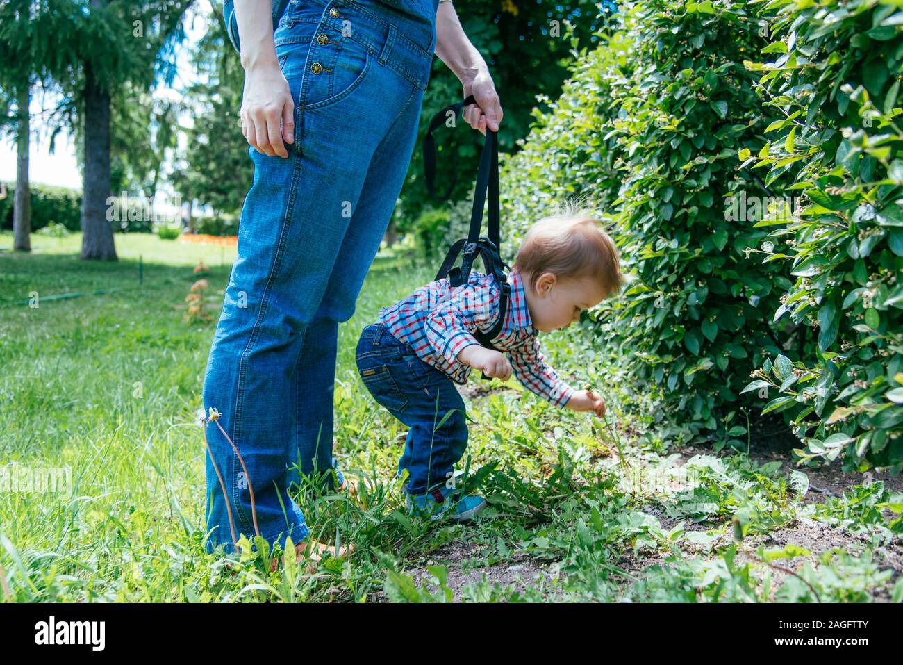 Mothers teach to walk on the road Stock Photo - Alamy