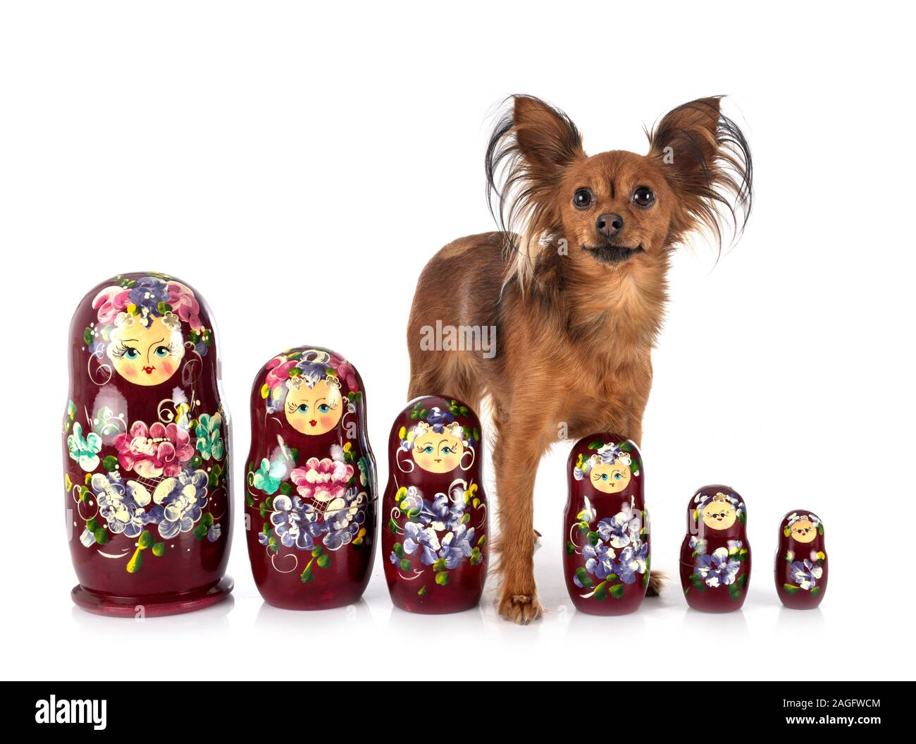 Russian dolls and russkiy toy in front of white background Stock Photo ...