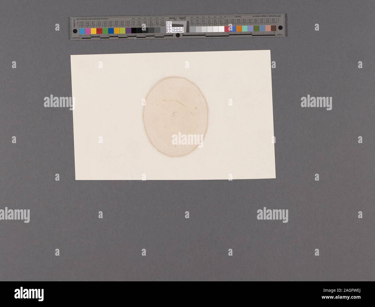 Digitization was made possible by a lead gift from The Polonsky ...