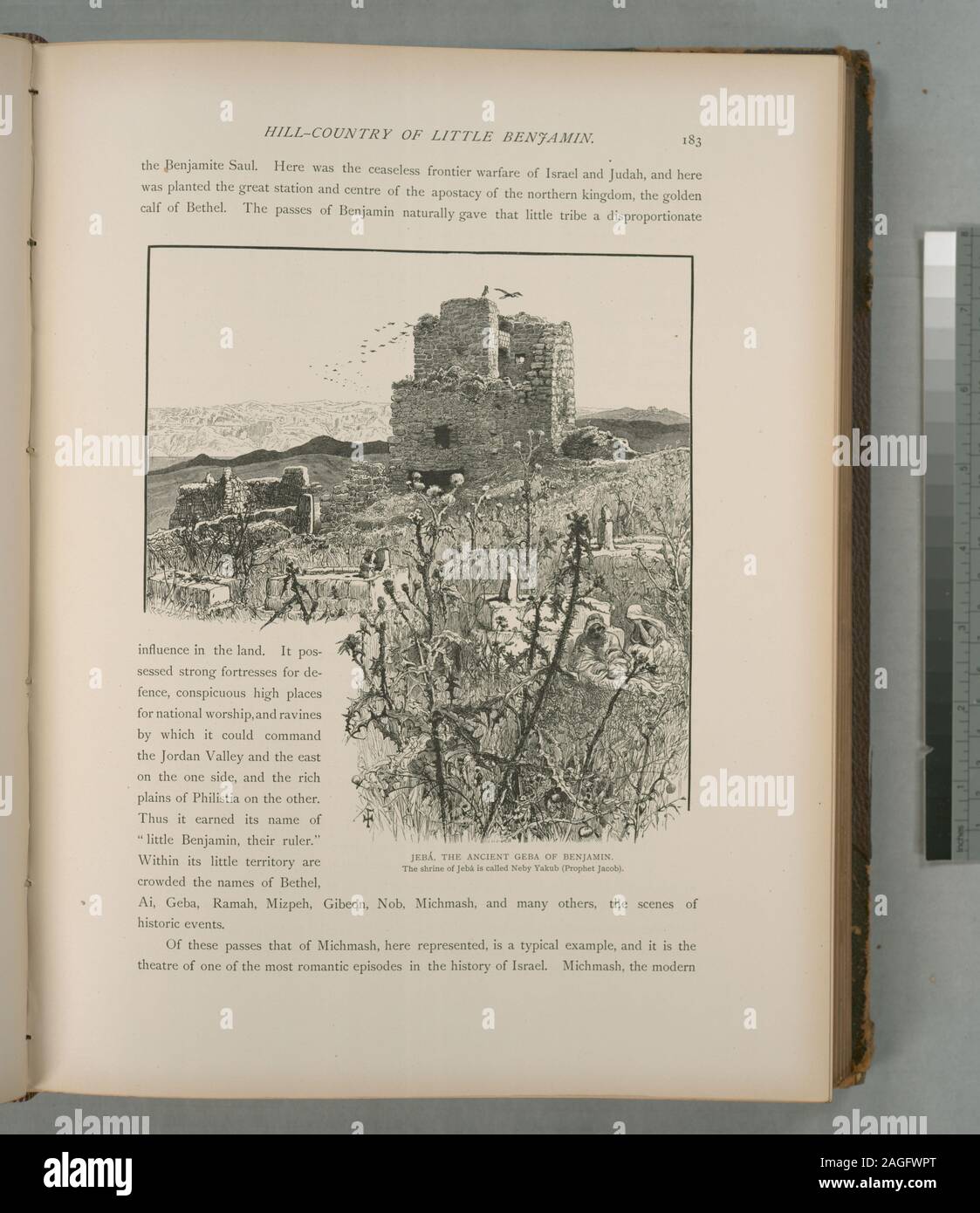 Colonel Wilson, ed.; Jebá, the ancient Geba of Benjamin. The shrine of ...