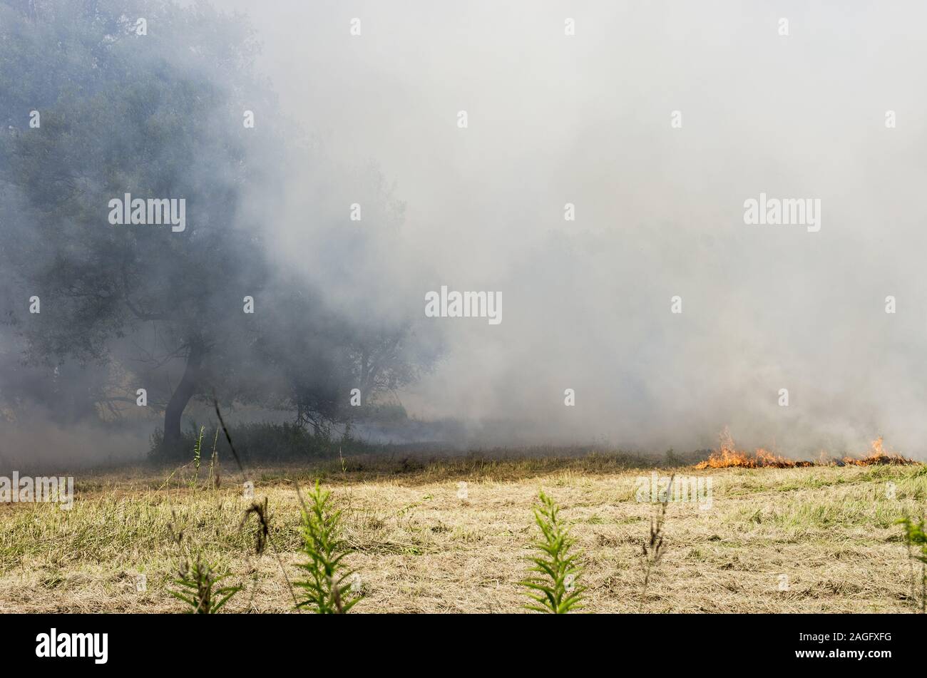 Meadow fire hi-res stock photography and images - Alamy