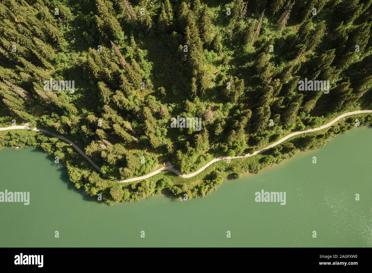 Top view of hiking trail trough forest next to lake shore in summer ...