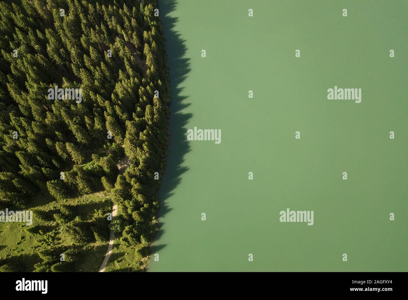 Top view of waterside of lake shore with forest in the French Alps ...