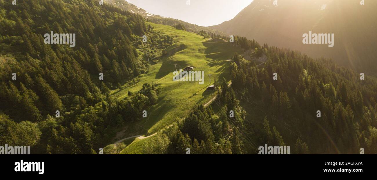 Slope through forest on mountain in French Alps in summer evening Stock ...