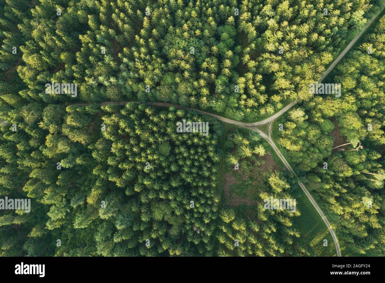 Aerial view of roads intersecting in forest in summer Stock Photo - Alamy
