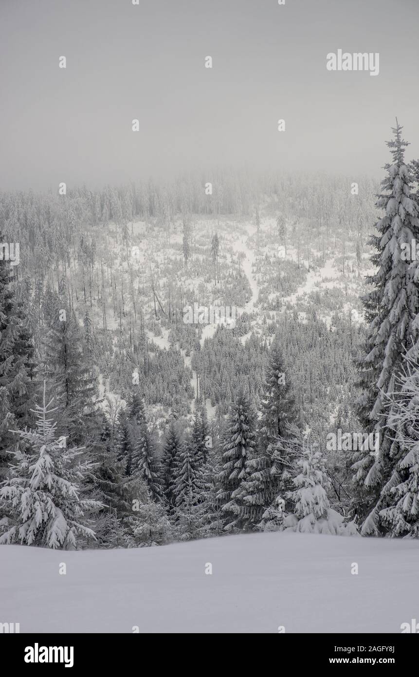 Gorce mountains hi-res stock photography and images - Alamy
