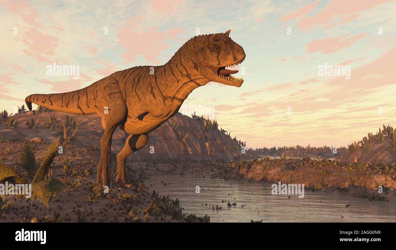Carnotaurus fossil hi-res stock photography and images - Alamy