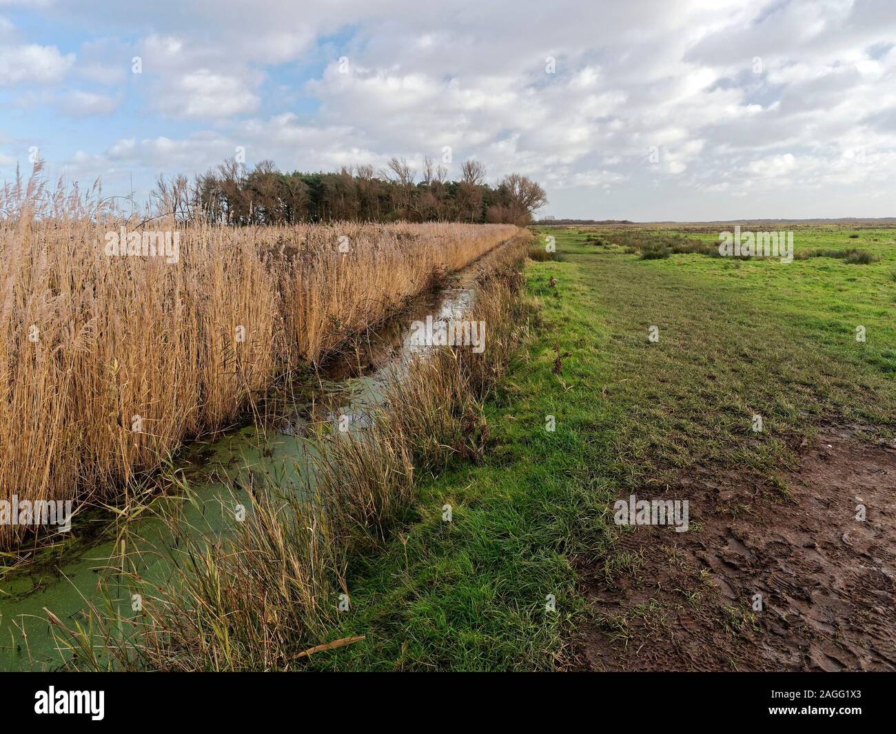 Dyke marsh hi-res stock photography and images - Alamy