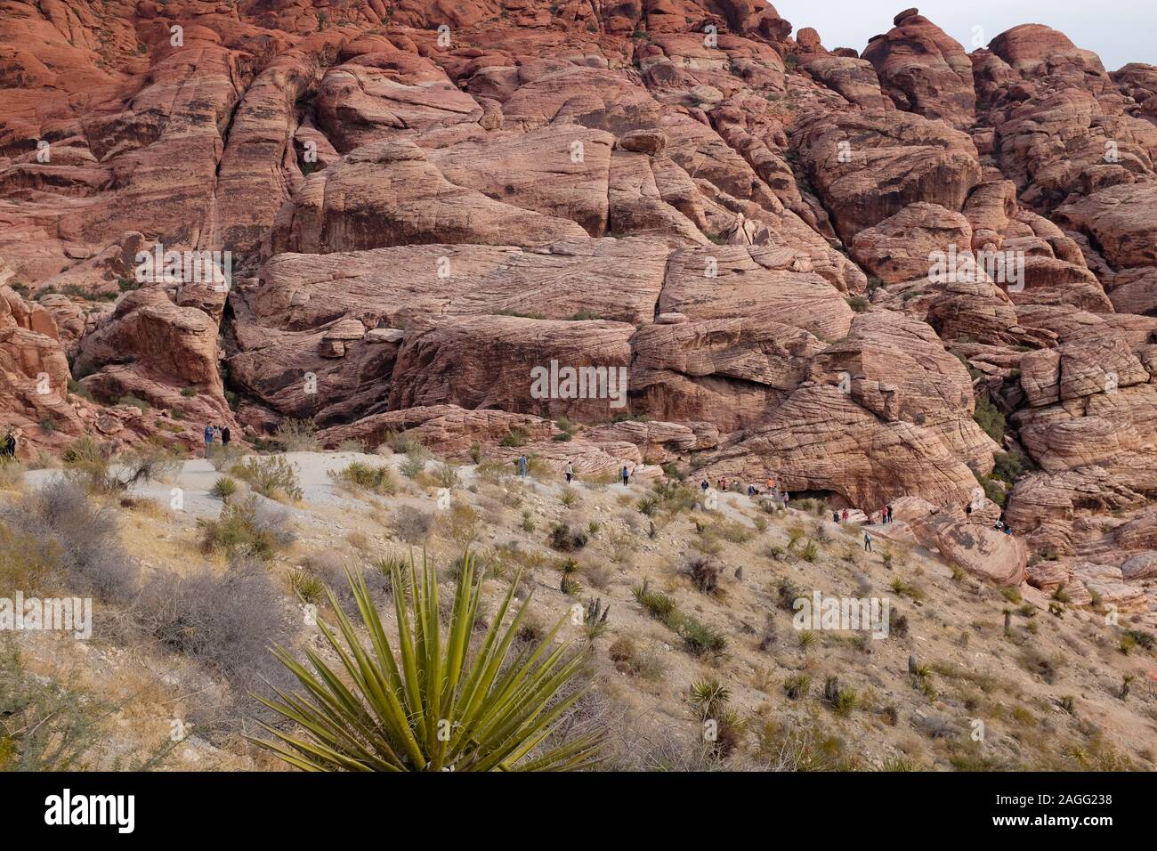 Red Rock Canyon National Conservation Area, Las Vegas, Nevada, USA ...
