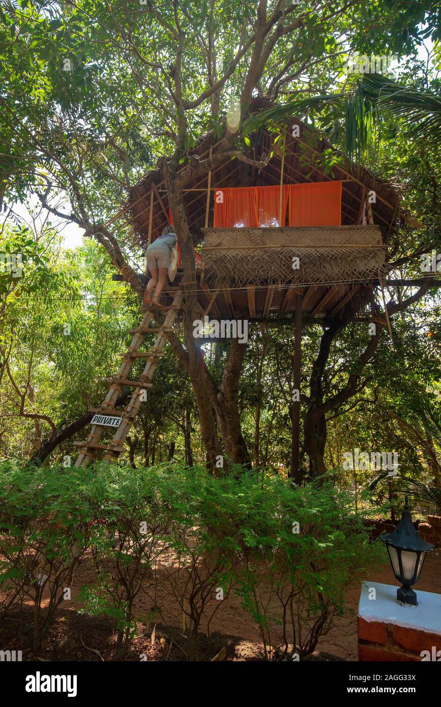 Hotel room with monkeys hi-res stock photography and images - Alamy