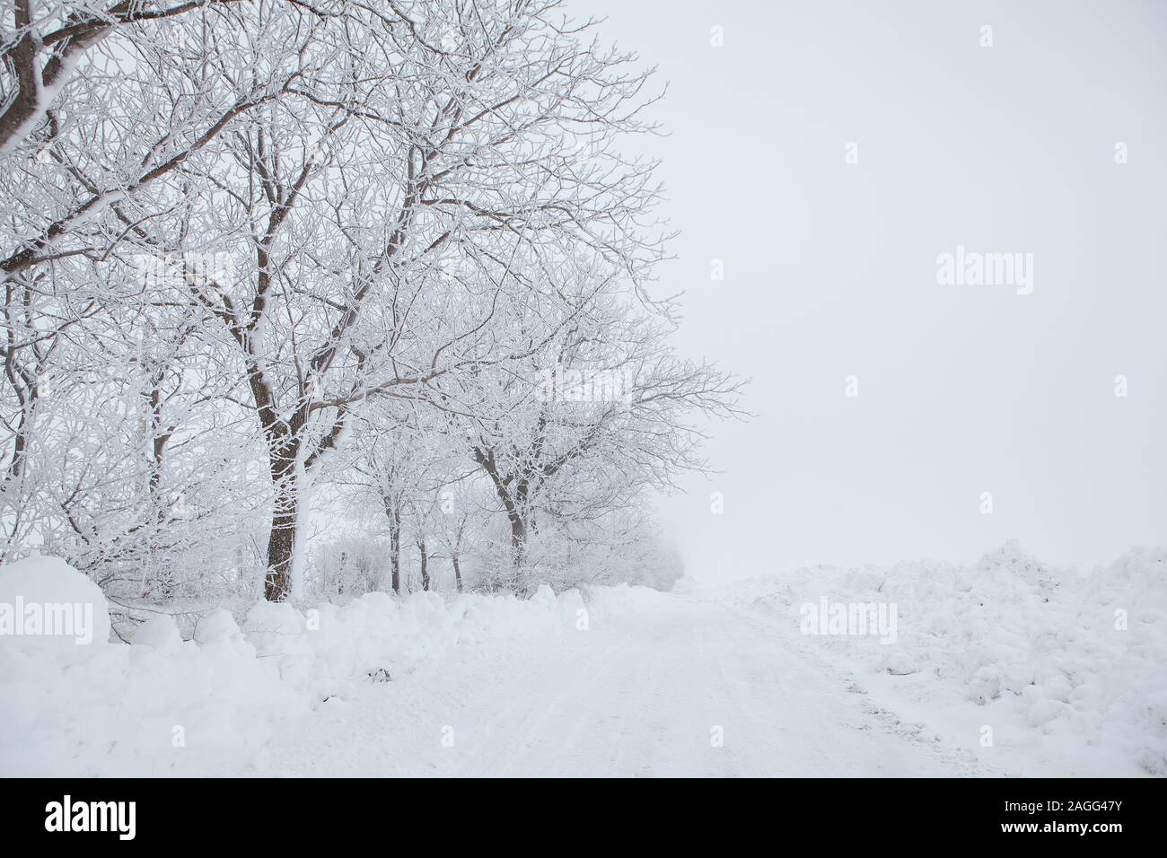 trees and road covered with snow in the winter Stock Photo - Alamy