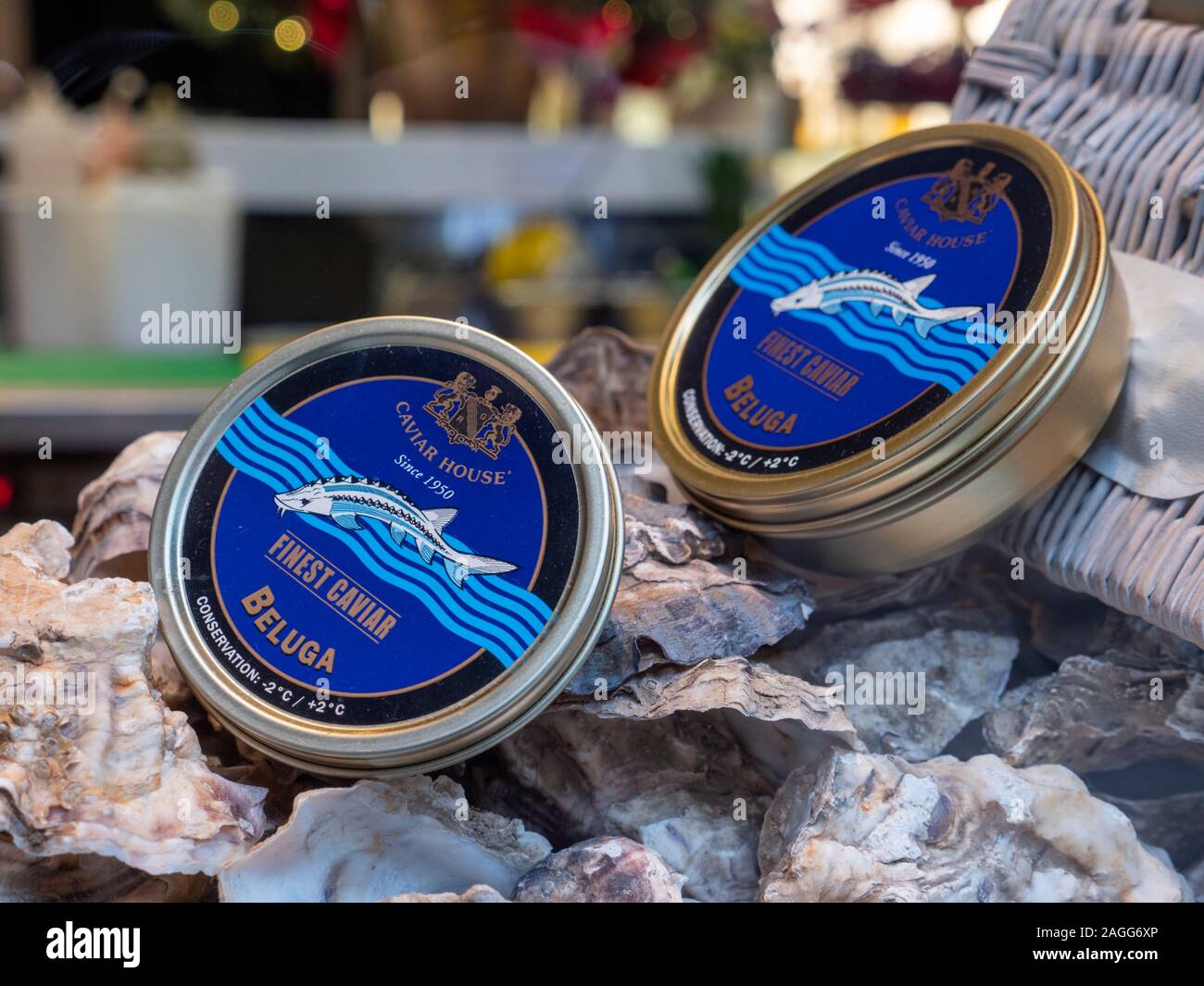 Beluga Whale Caviar