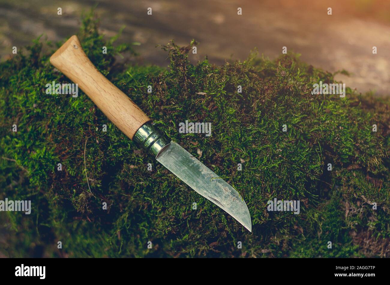Knife Rests High Resolution Stock Photography and Images - Alamy