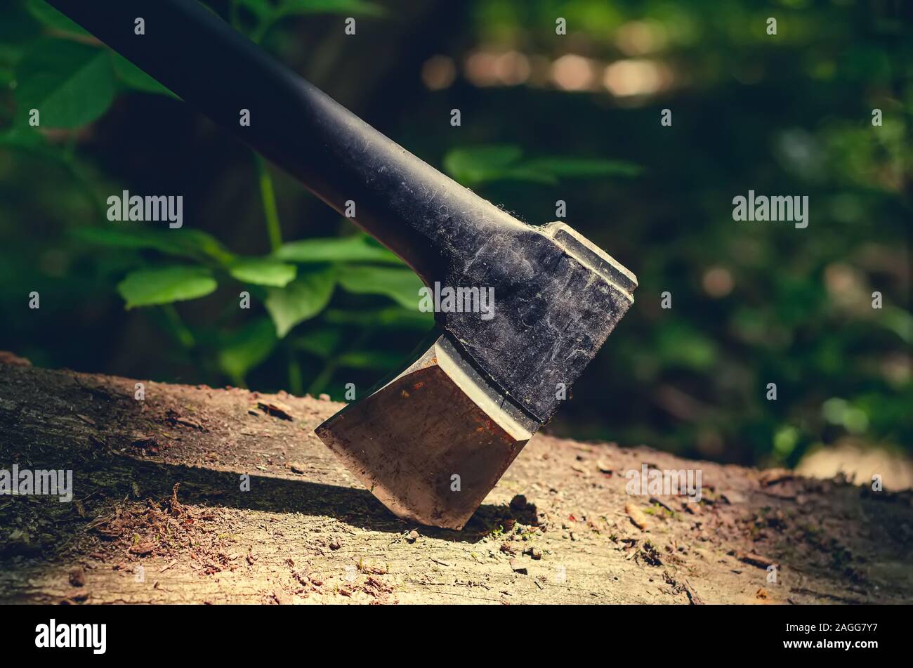 Juniper forest fire hi-res stock photography and images - Alamy