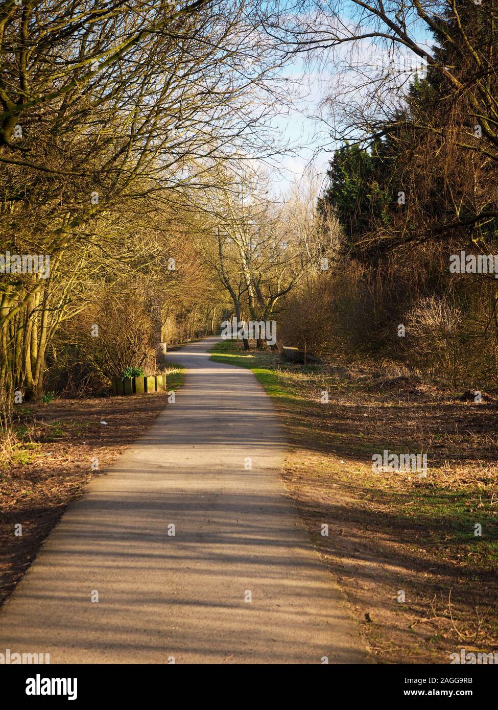 Shared cycle path and footpath through winter trees in dappled sunlight ...