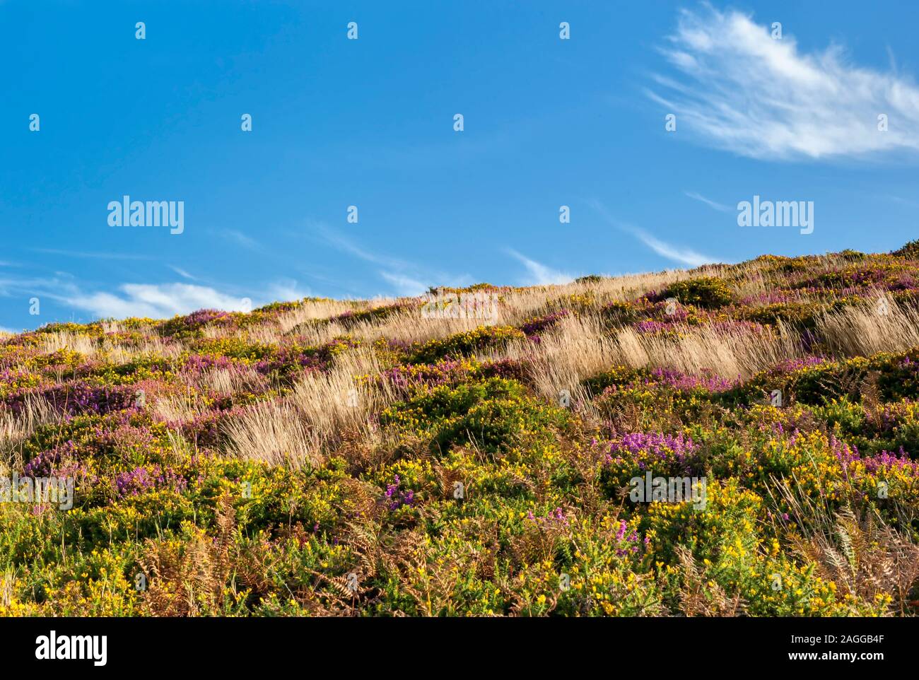 Lorna doone exmoor hi-res stock photography and images - Alamy