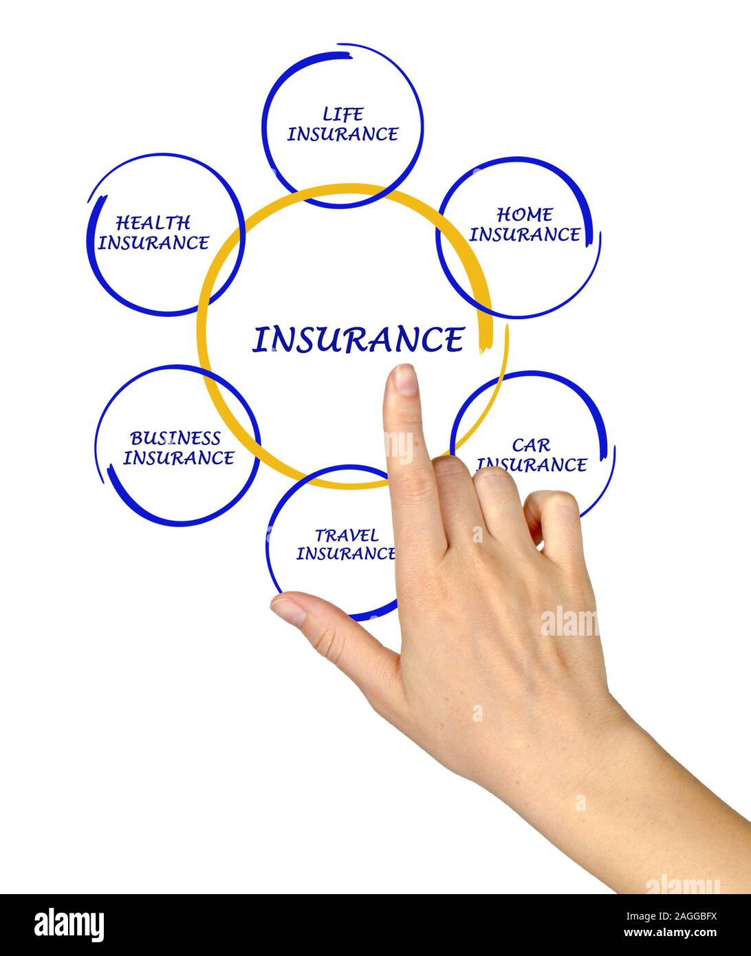 Woman presenting insurance diagram Stock Photo - Alamy