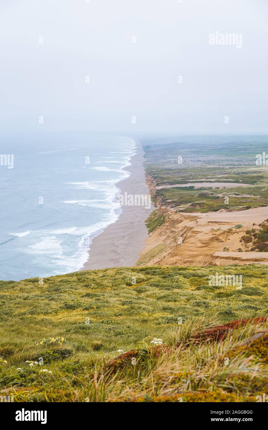 Spring in Point Reyes on coastline, California, USA Stock Photo - Alamy