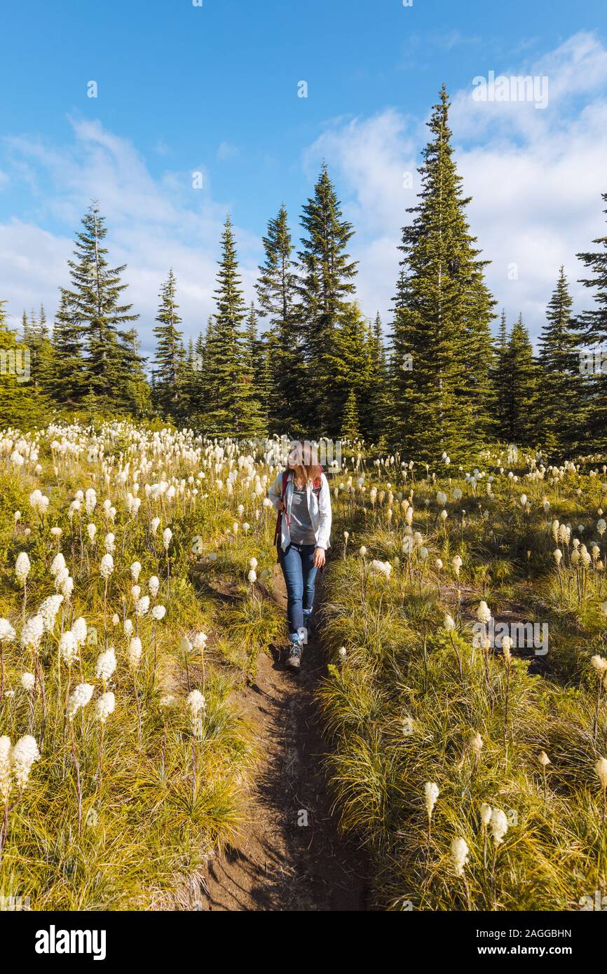 Female hiker enjoying the hi-res stock photography and images - Alamy