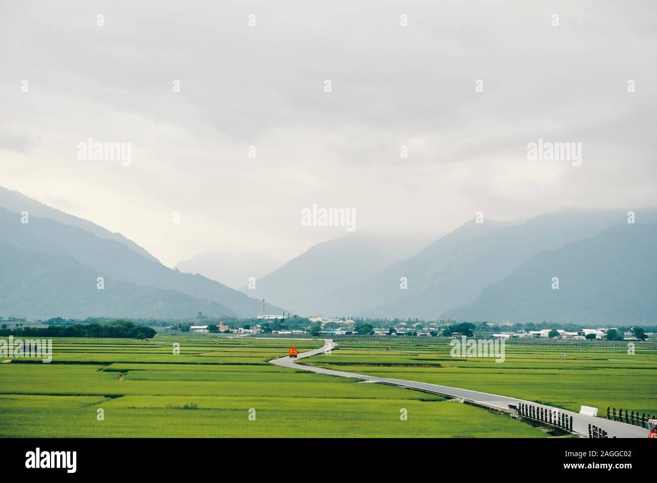 Wide paddy field hi-res stock photography and images - Alamy