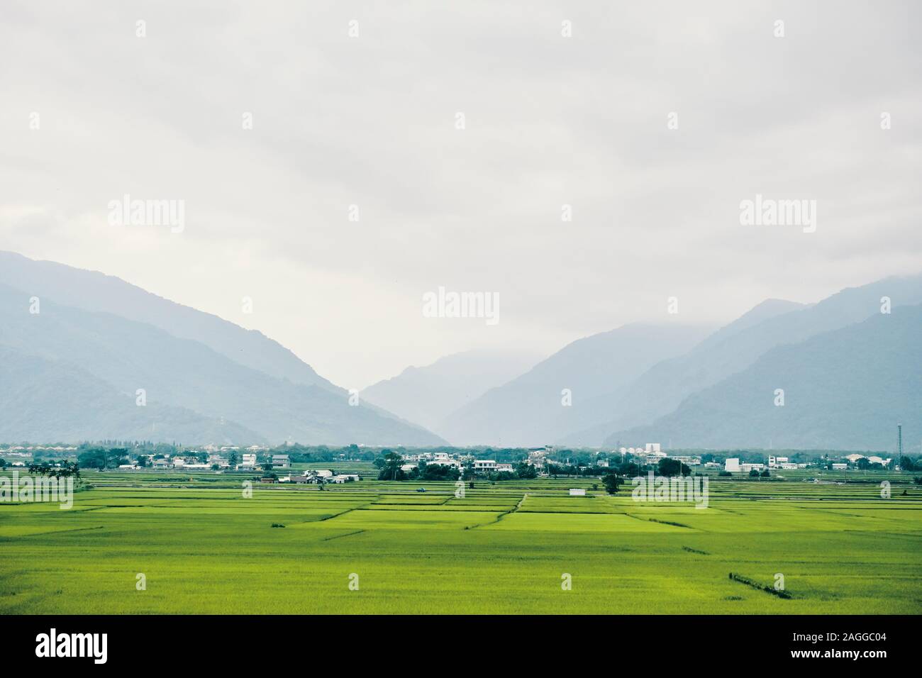 Rice field taiwan hi-res stock photography and images - Alamy