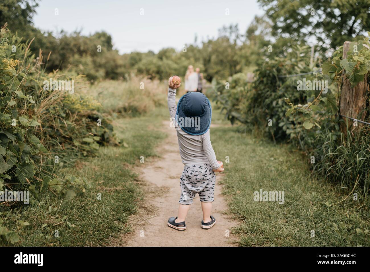 Toddler and parent taking walk in countryside Stock Photo - Alamy