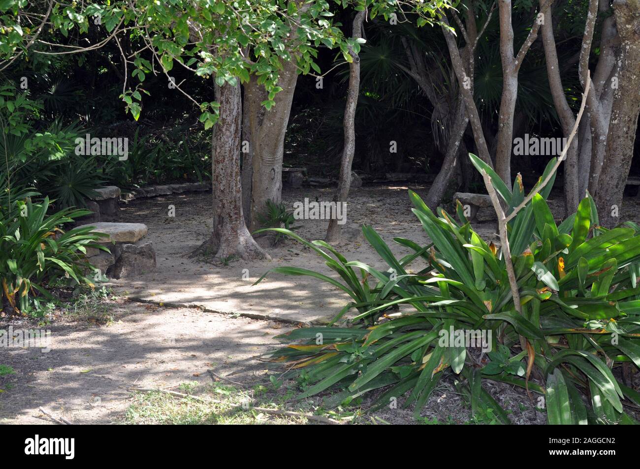 A Seating Area inside the Park at the Tulum Ruins in Mexico Stock Photo ...