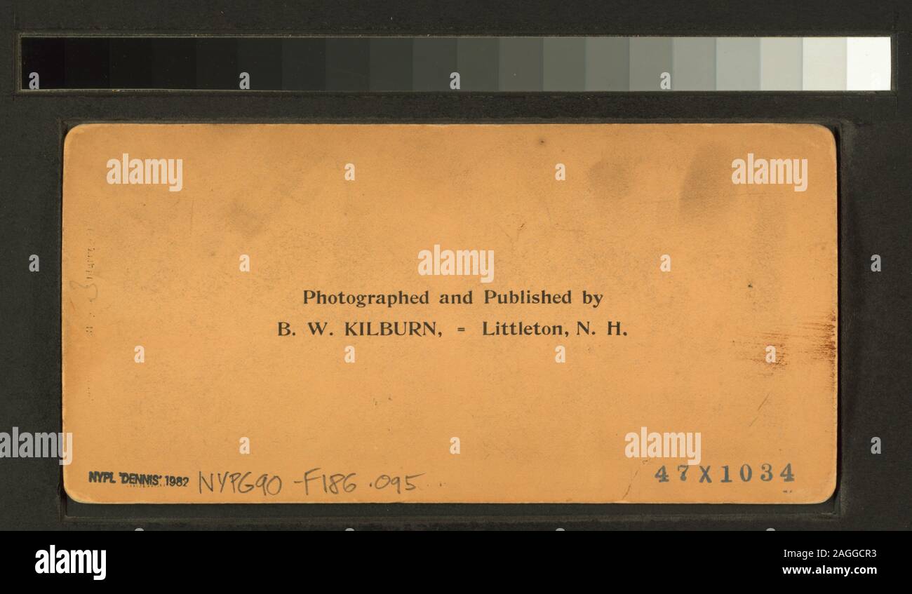 Krupp's great exhibit of guns, Columbian Exposition by B.W. Kilburn ...