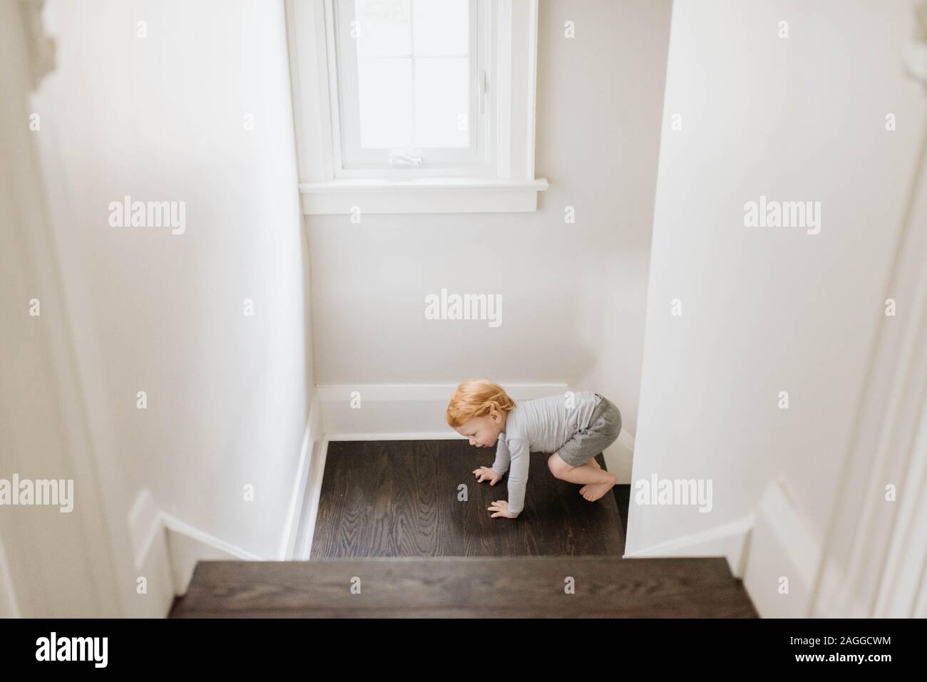 Toddler crawling up stairway in house Stock Photo - Alamy