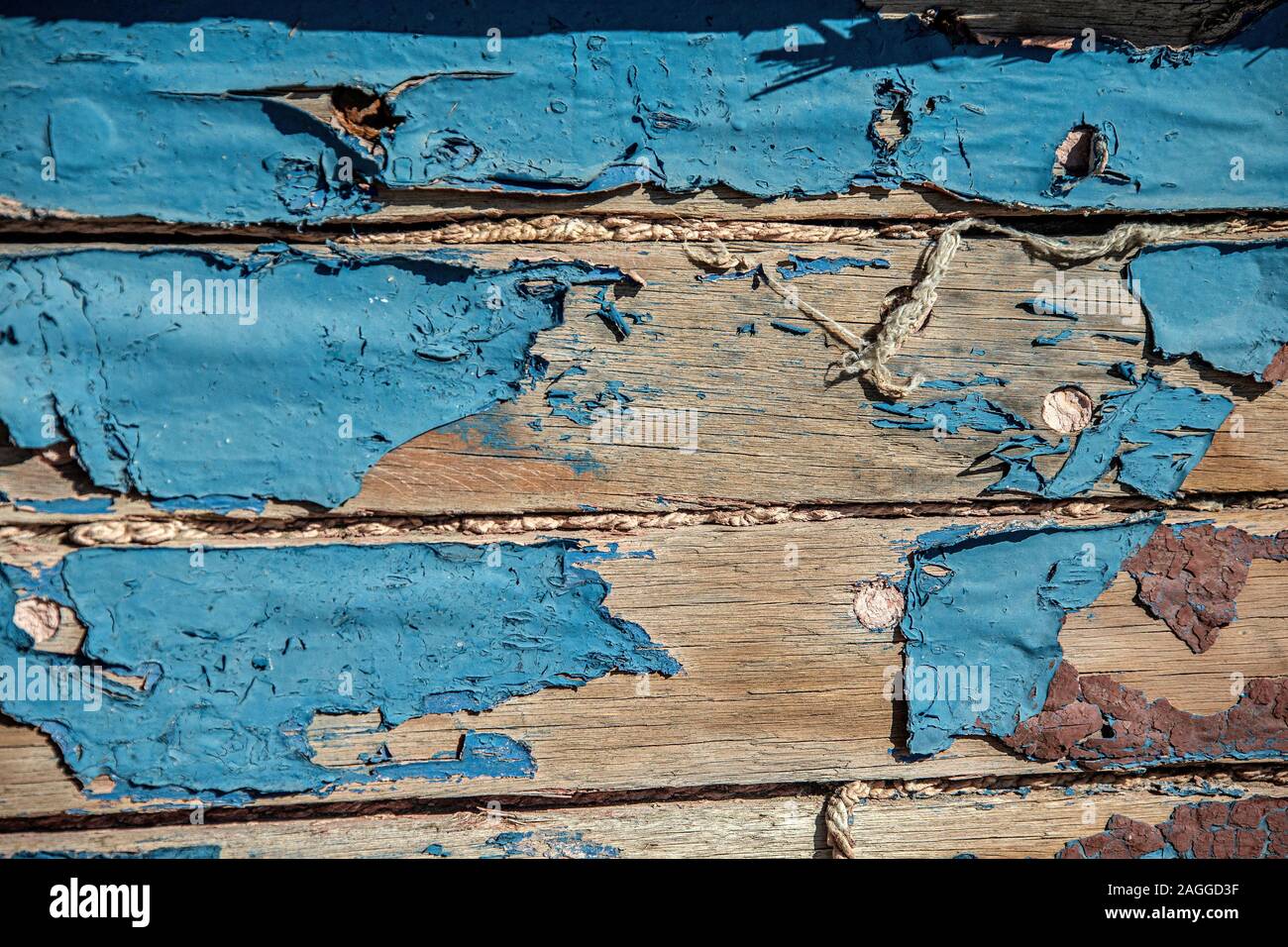 Old, peeling blue paint and rope calking between planks of an old ...