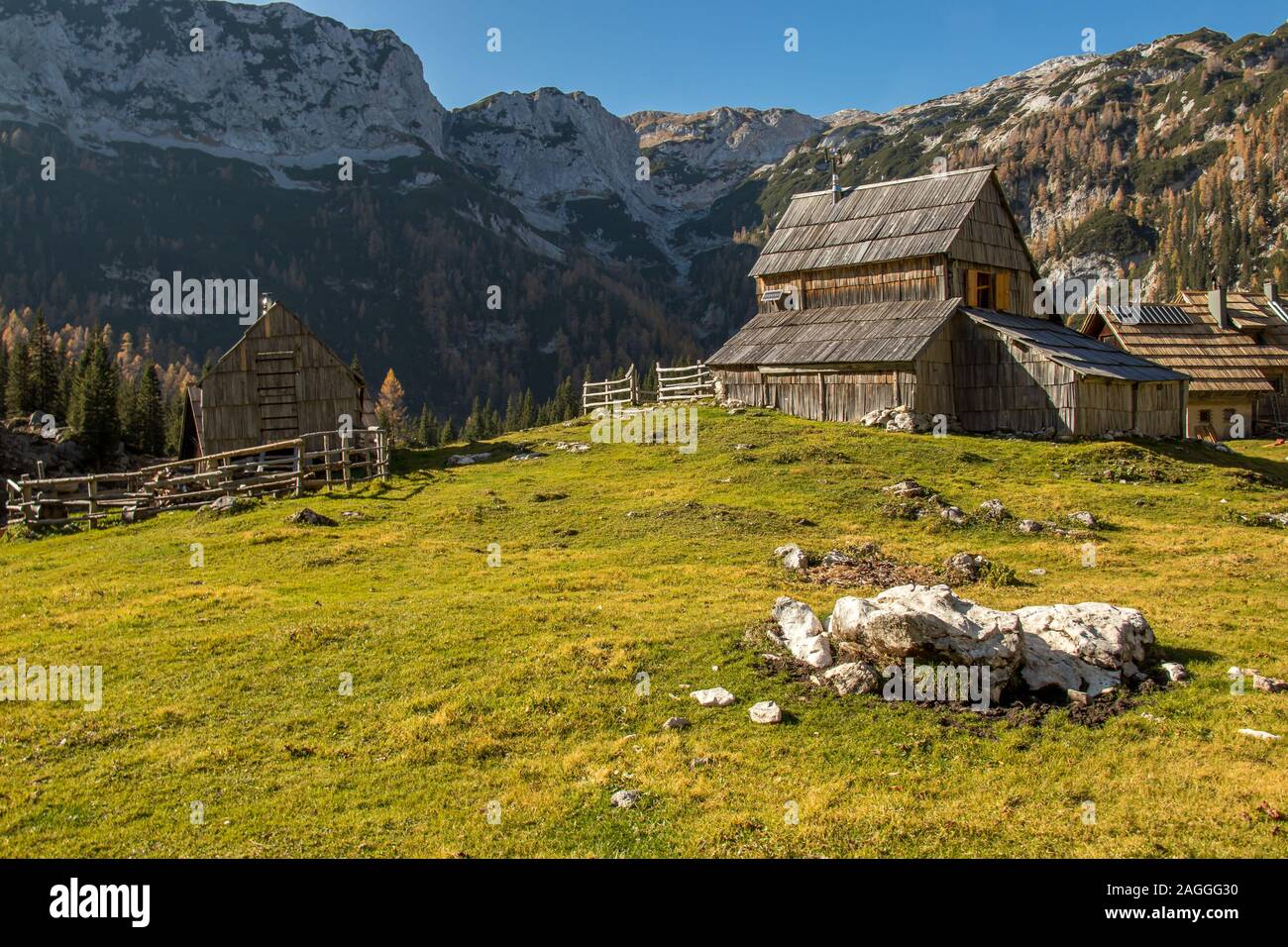 Mountain hut in mountain pasture Laz Stock Photo - Alamy