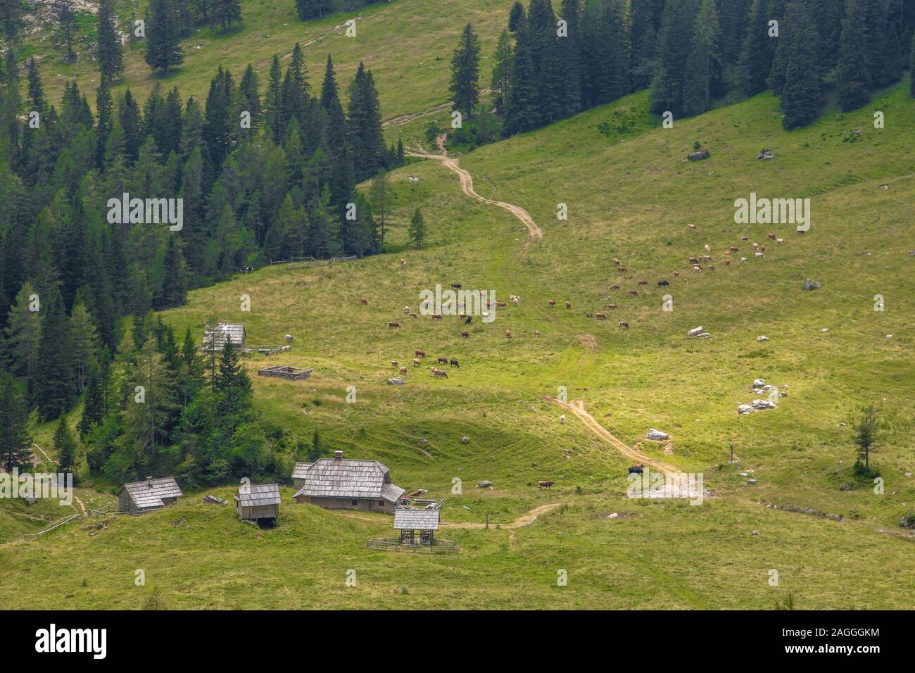 mountain huts in Triglav national park, Slovenia Stock Photo - Alamy