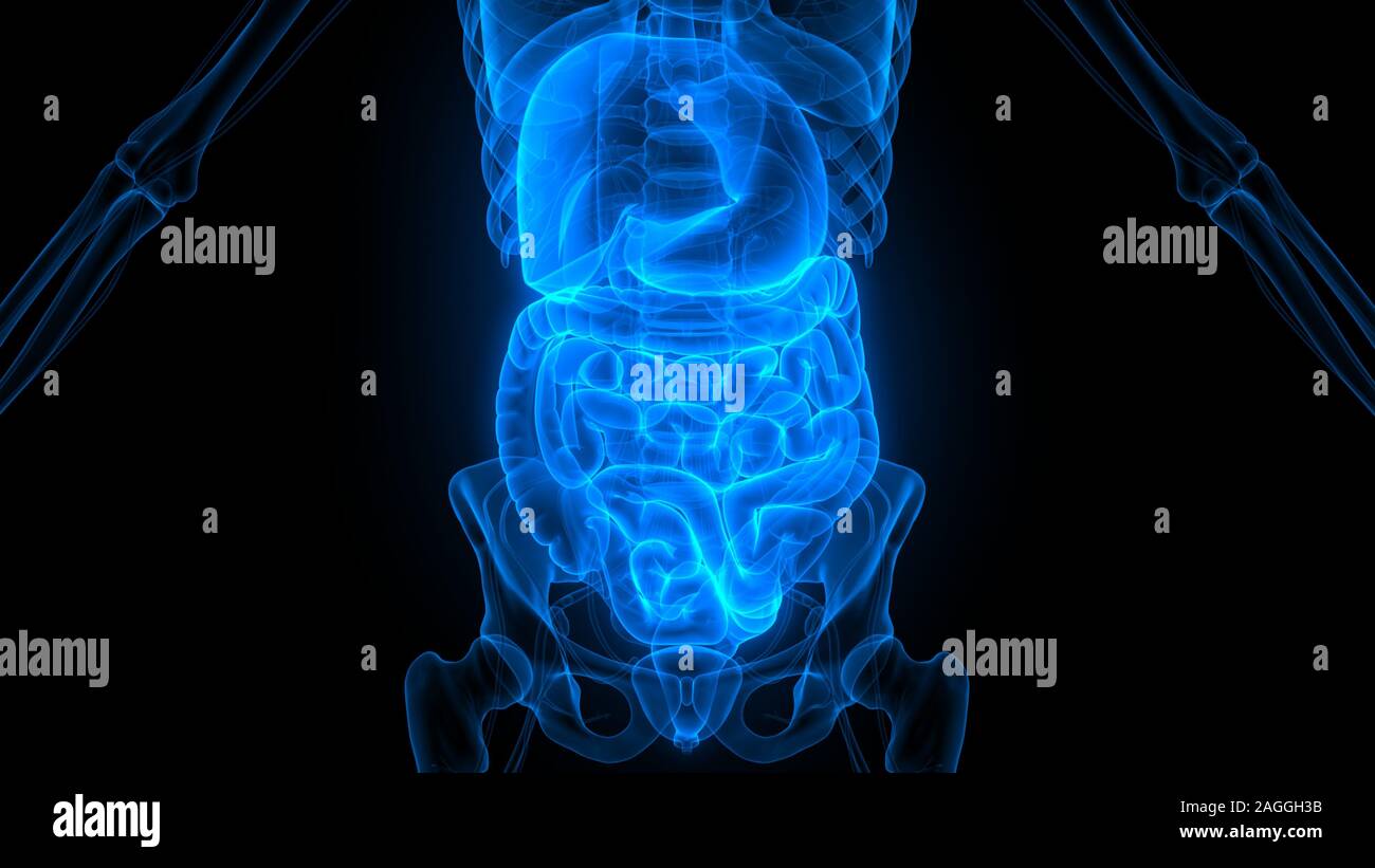 File system visualizer 3d - stonekasap