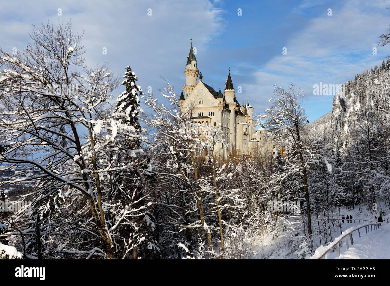 snow covered Neuschwanstein Castle, Bavaria Germany Stock Photo - Alamy