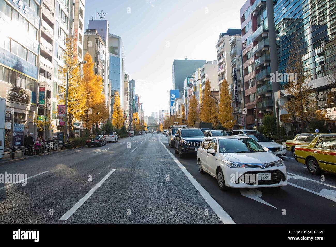 Akihabara anime shrine hi-res stock photography and images - Alamy