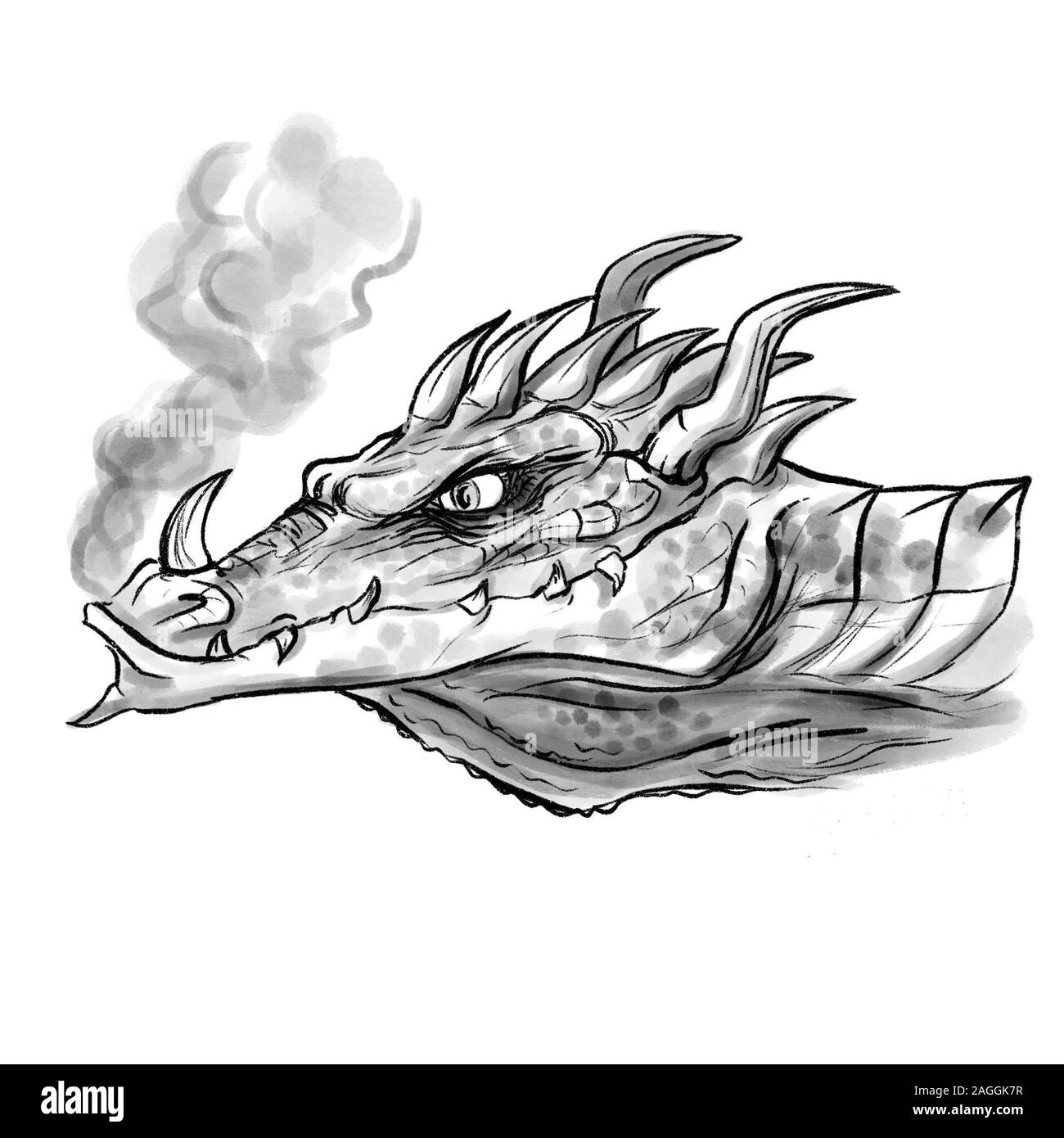 fantasy dragon illustration artwork Stock Photo - Alamy