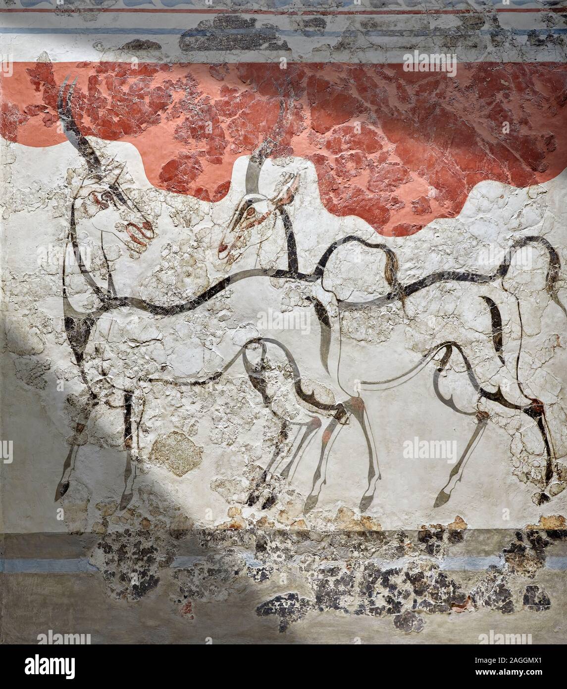 Monoan 'Antelope fresco' Wall painting from Akrotiri, Thira (Santorini ...