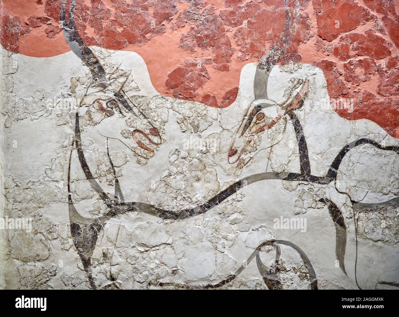 Monoan 'Antelope fresco' Wall painting from Akrotiri, Thira (Santorini ...
